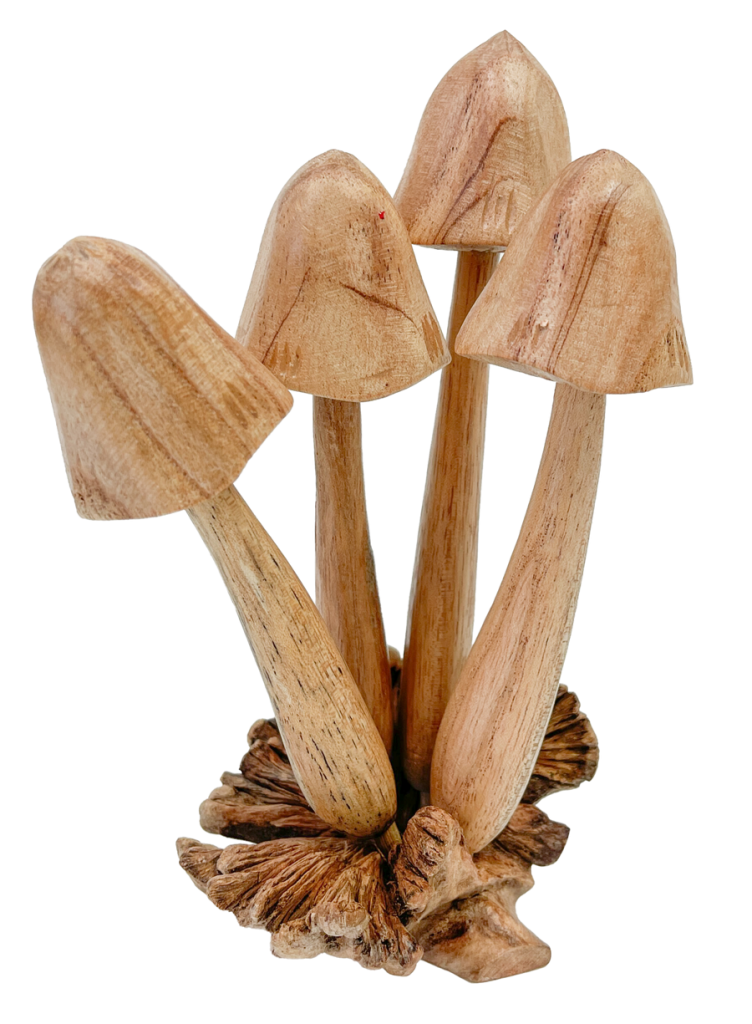 Mushrooms Toadstools Group of Four on Parasite Wood - Just Luv It